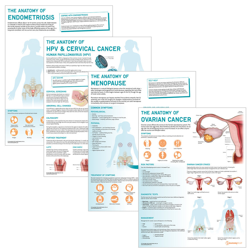 Women's Reproductive Health 4 Poster Collection | AnatomyStuff Posters