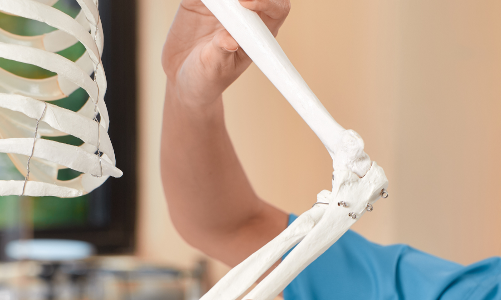 Elbow Anatomy - Motion & Structure | AnatomyStuff