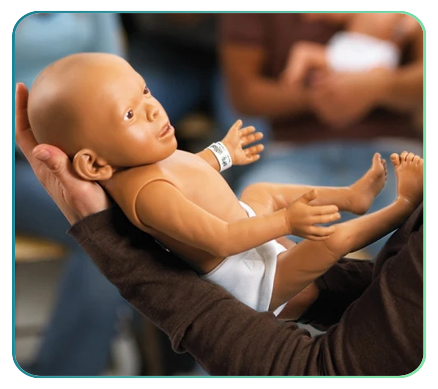 RealCare Baby Infant Simulators – AnatomyStuff