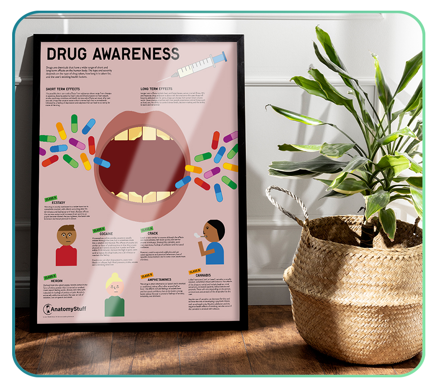 Addictive Substances Posters – AnatomyStuff