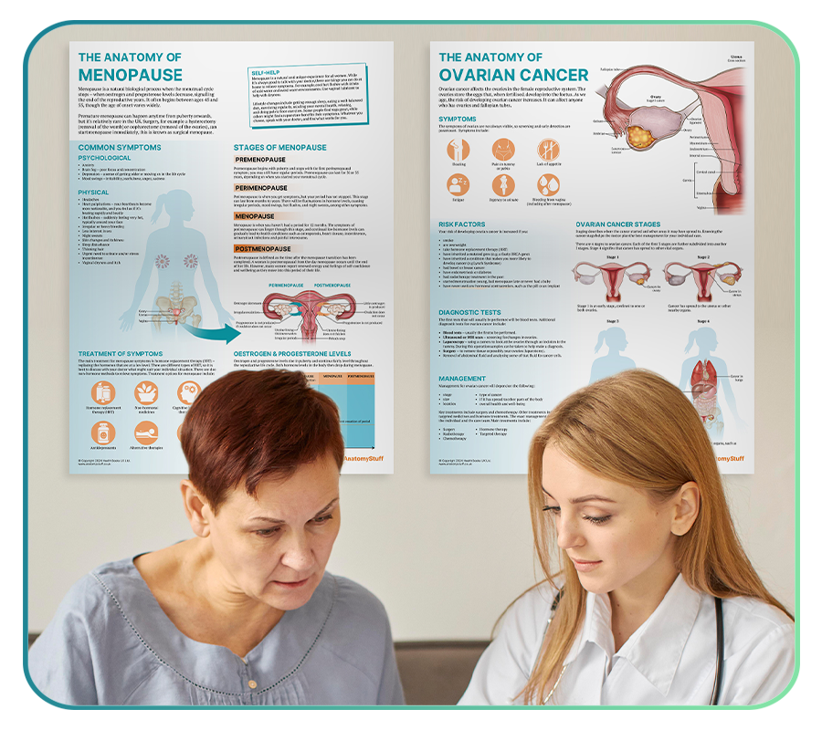 Anatomy Chart Collections | Poster Bundles – AnatomyStuff
