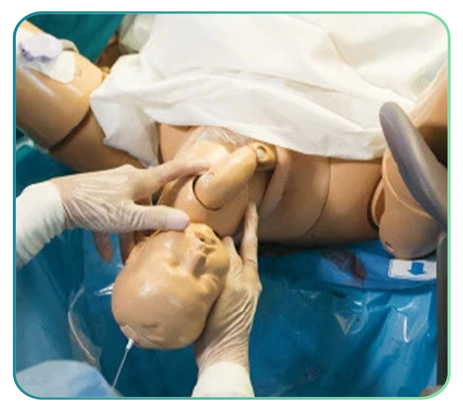 Birthing Simulators | Obstetrical Midwifery Manikins – AnatomyStuff