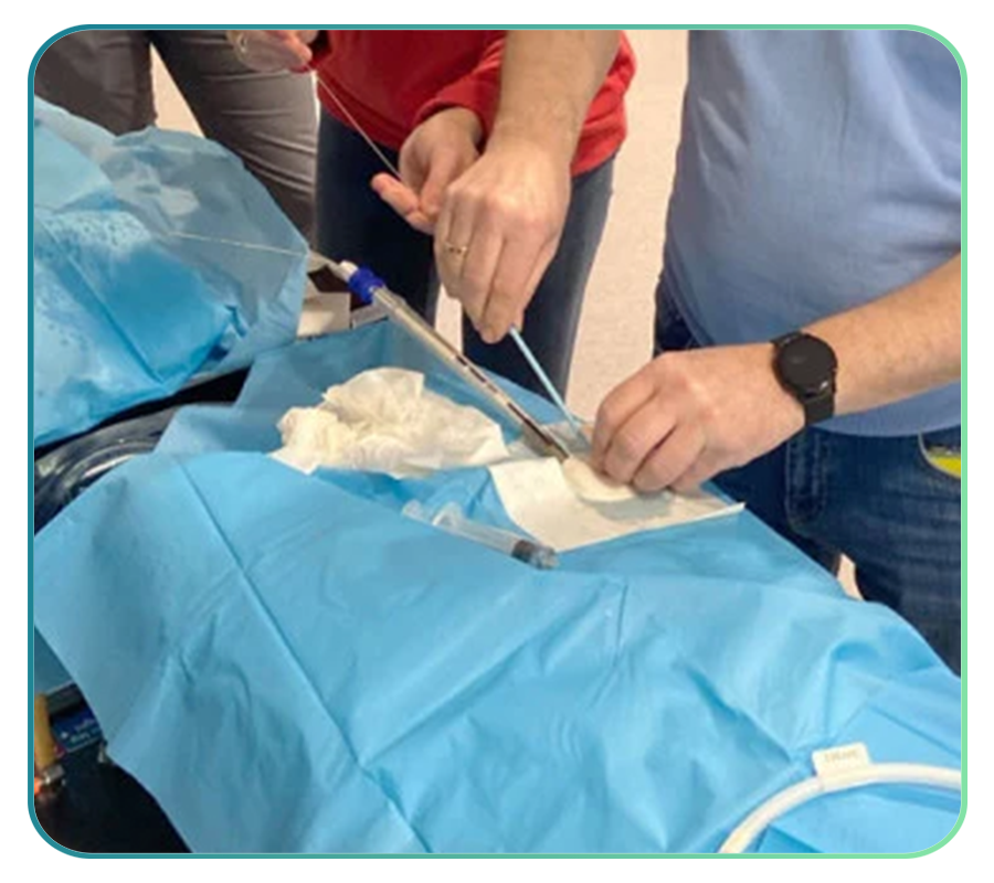 Central Venous Cannulation (CVC) Trainers | PICC Training Models ...