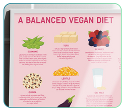 Healthy Eating & Nutrition Posters – AnatomyStuff