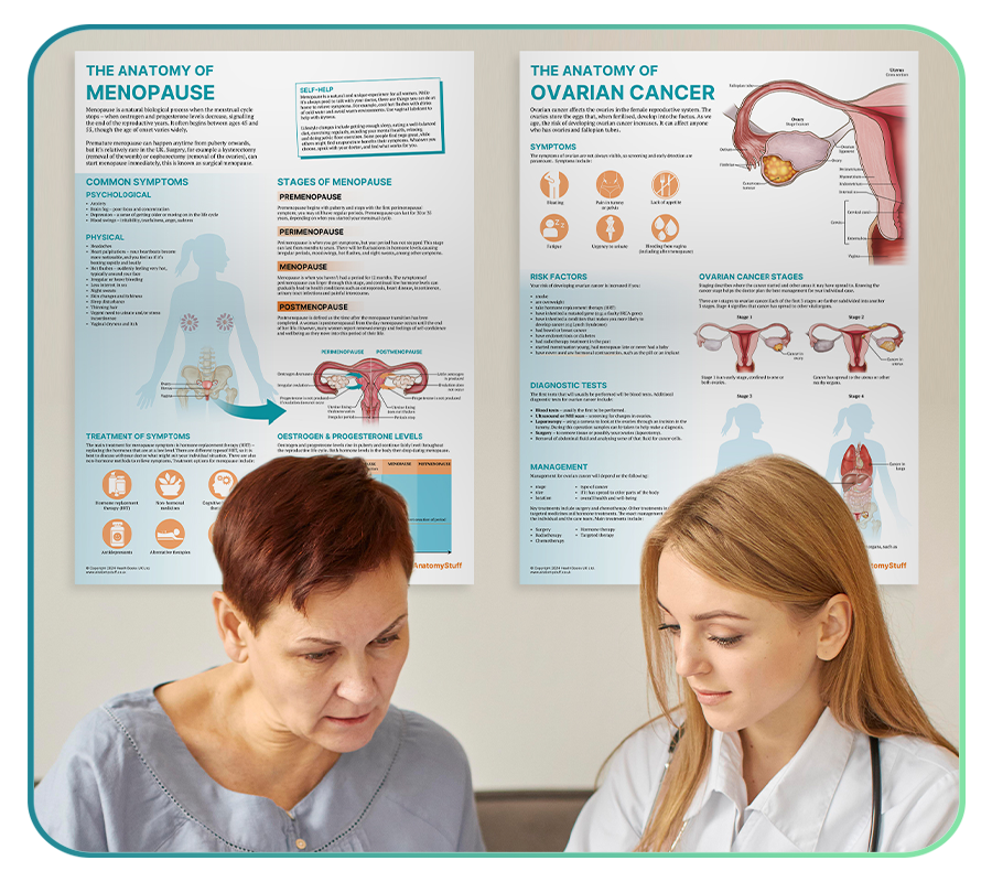 Womens Health Resources – AnatomyStuff
