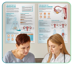 Womens Health Resources – AnatomyStuff