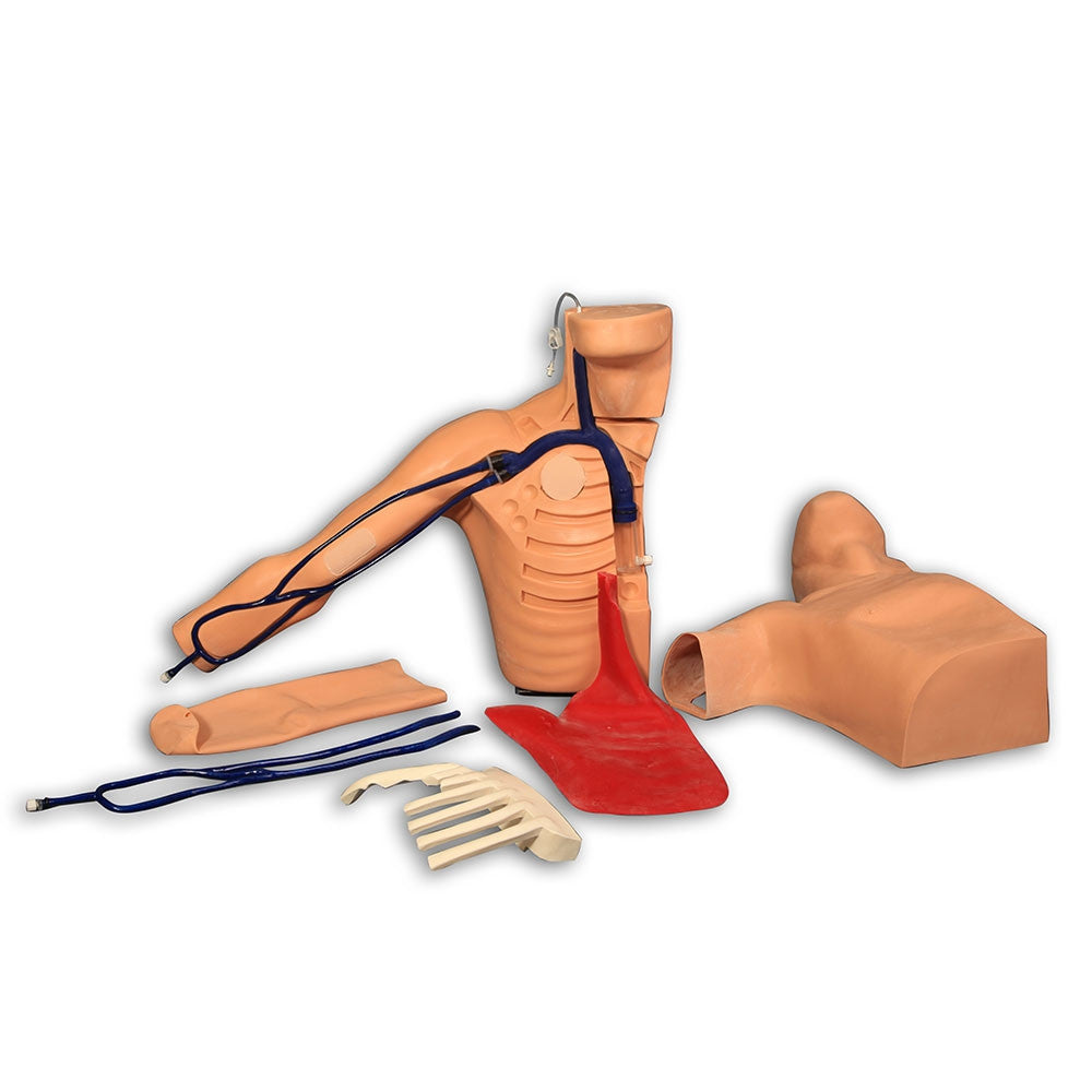 Peter PICC Line Simulator 600 VATA | Peripherally Inserted Central ...