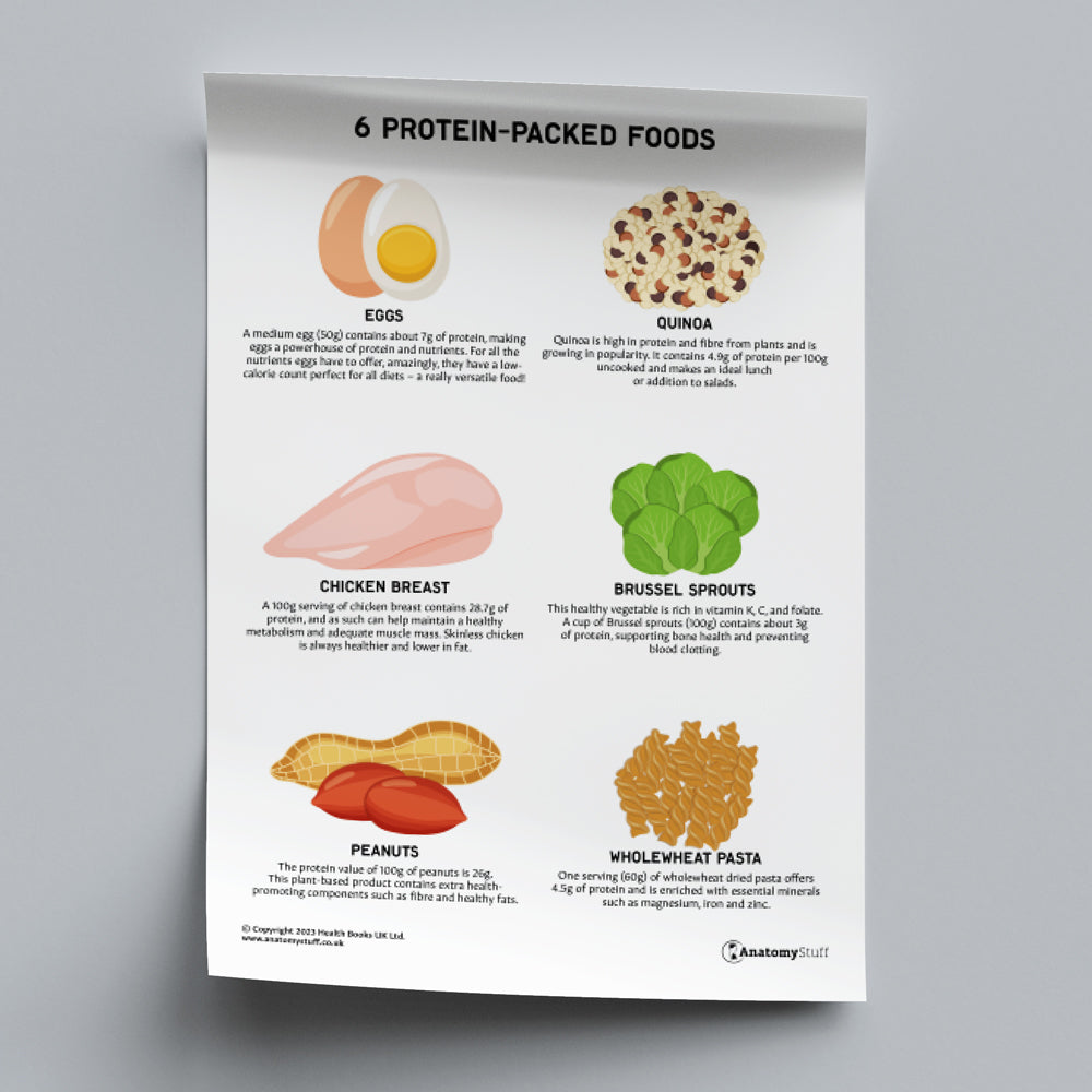 6 Protein-Packed Foods Printable PDF | Healthy Eating Resource ...