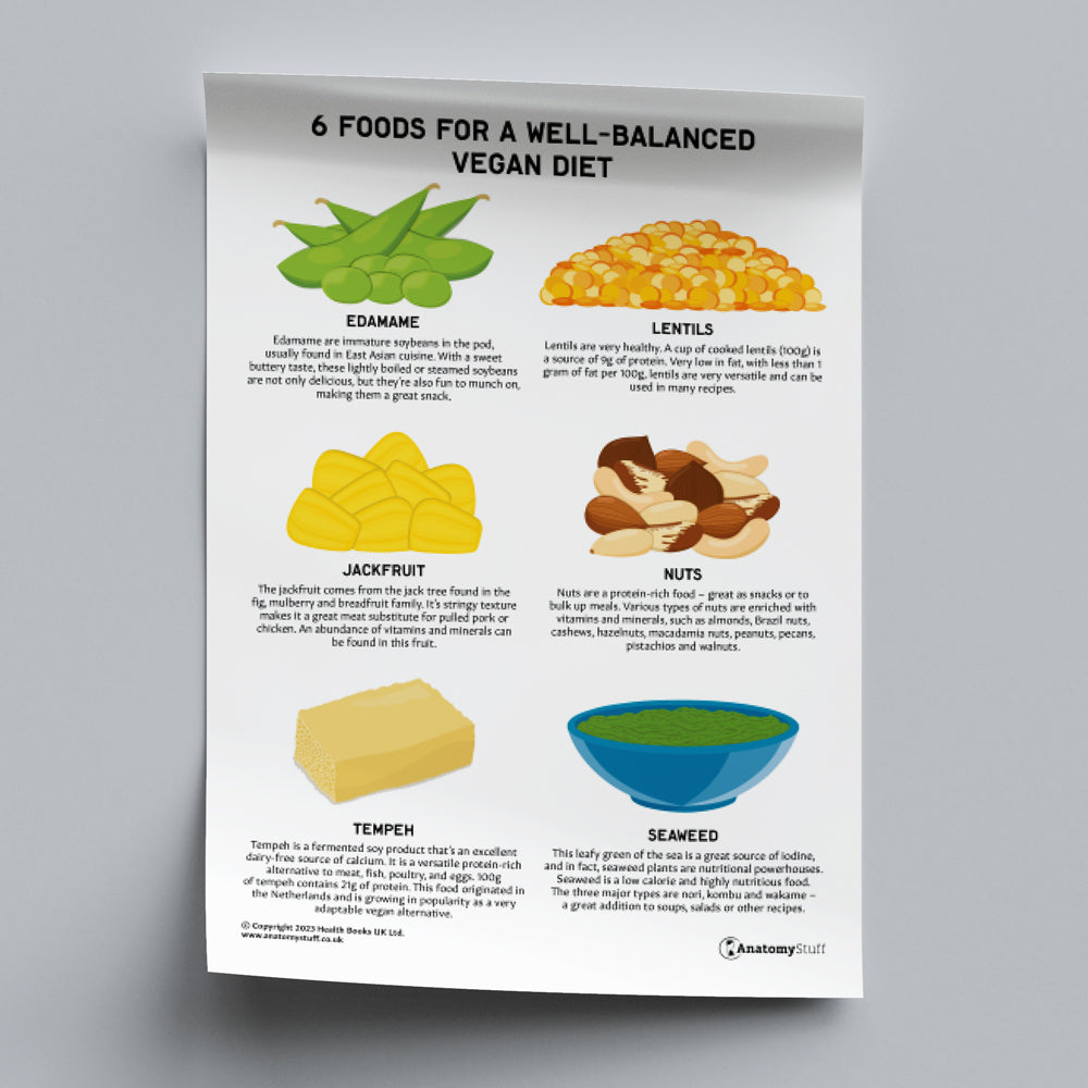 Public Health Downloads – AnatomyStuff