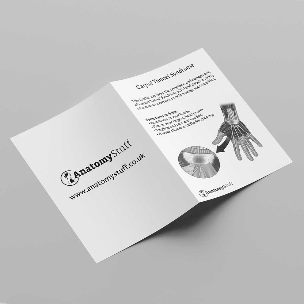 Patient Education Handouts | PDF Download – AnatomyStuff