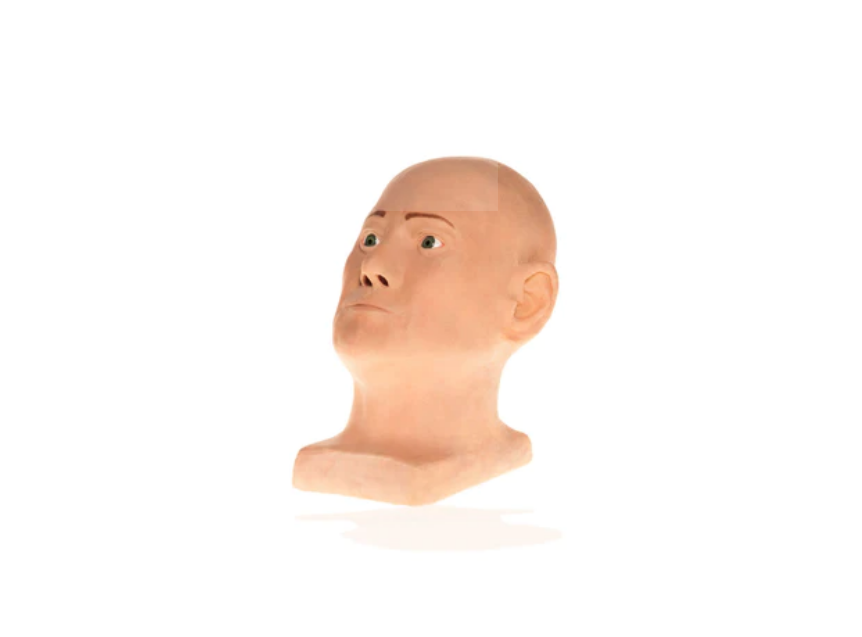 Cosmo Suturing Head Model | Reconstructive Surgery | AnatomyStuff