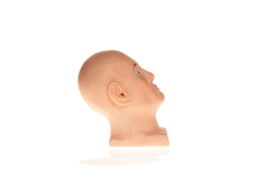 Cosmo Suturing Head Model | Reconstructive Surgery | AnatomyStuff