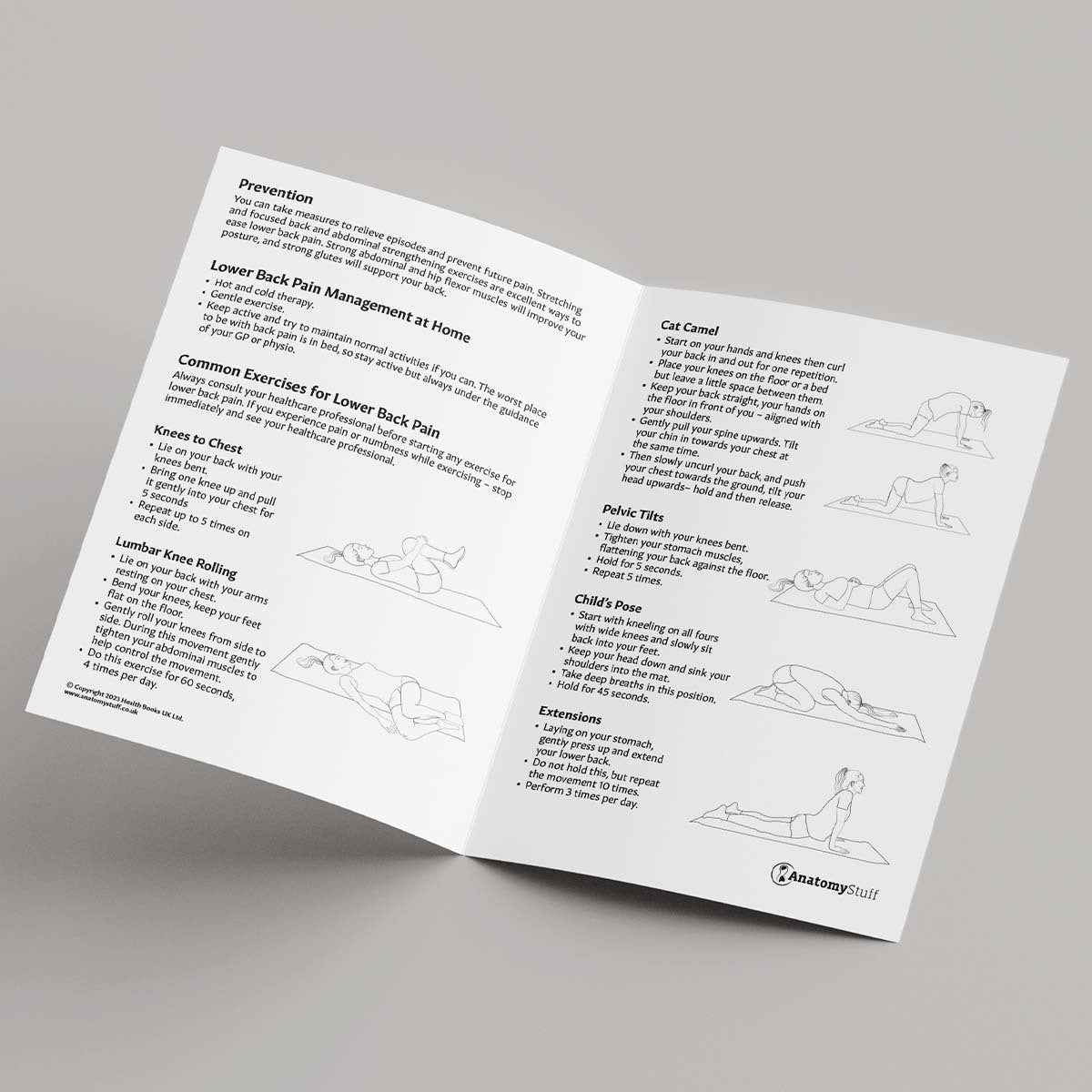 Your Guide To Lower Back Pain PDF | Patient Education Leaflet ...