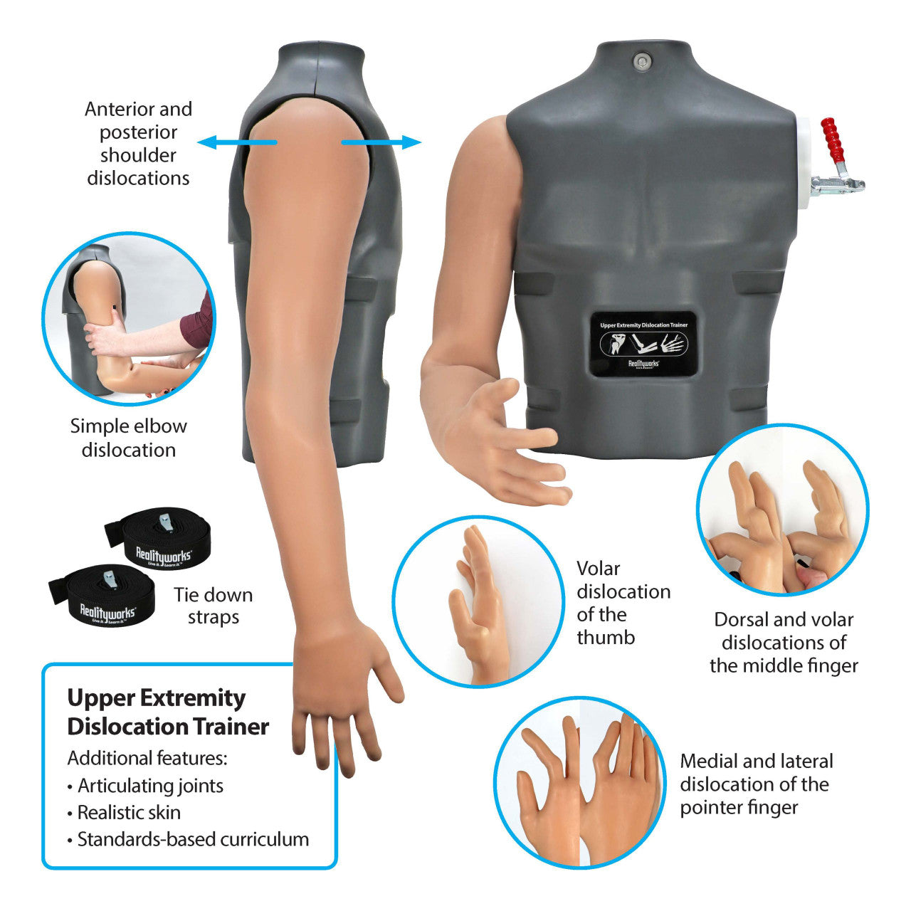 Upper Extremity Dislocation Trainer 35010300 | RealityWorks – AnatomyStuff