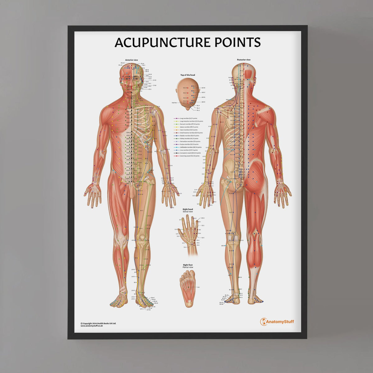 Acupuncture Points Poster | Meridian & Pressure Point Chart – AnatomyStuff