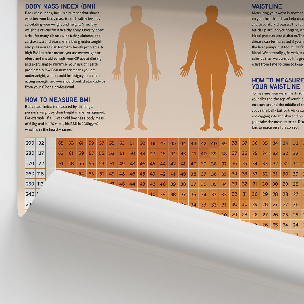 Body Mass Index Chart Poster | BMI Education Display – AnatomyStuff