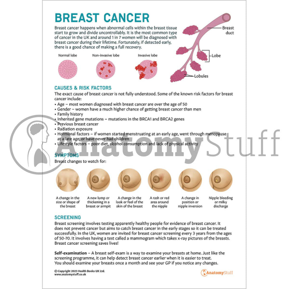 Patient Education Handouts | PDF Download – AnatomyStuff
