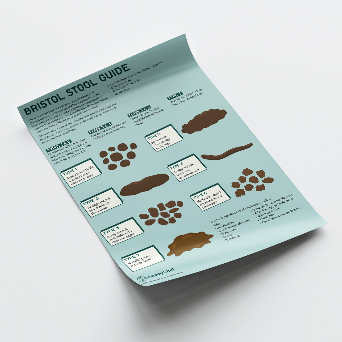 Bristol Stool Chart Poster | Illustrated Bowel Health Chart – AnatomyStuff