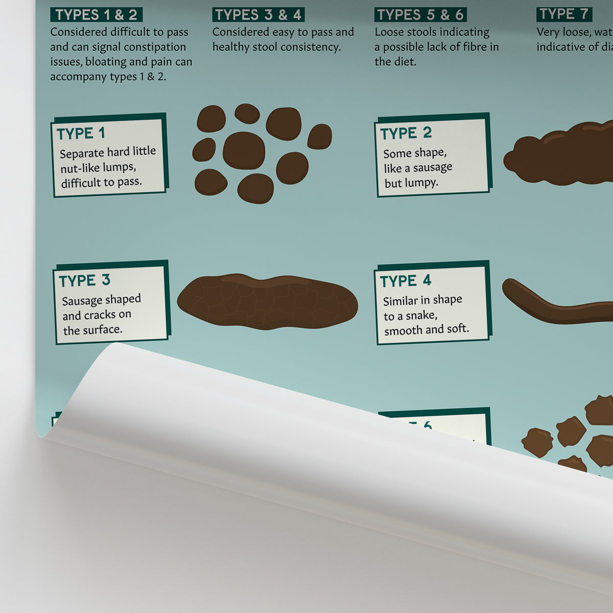 Bristol Stool Chart Poster | Illustrated Bowel Health Chart – AnatomyStuff