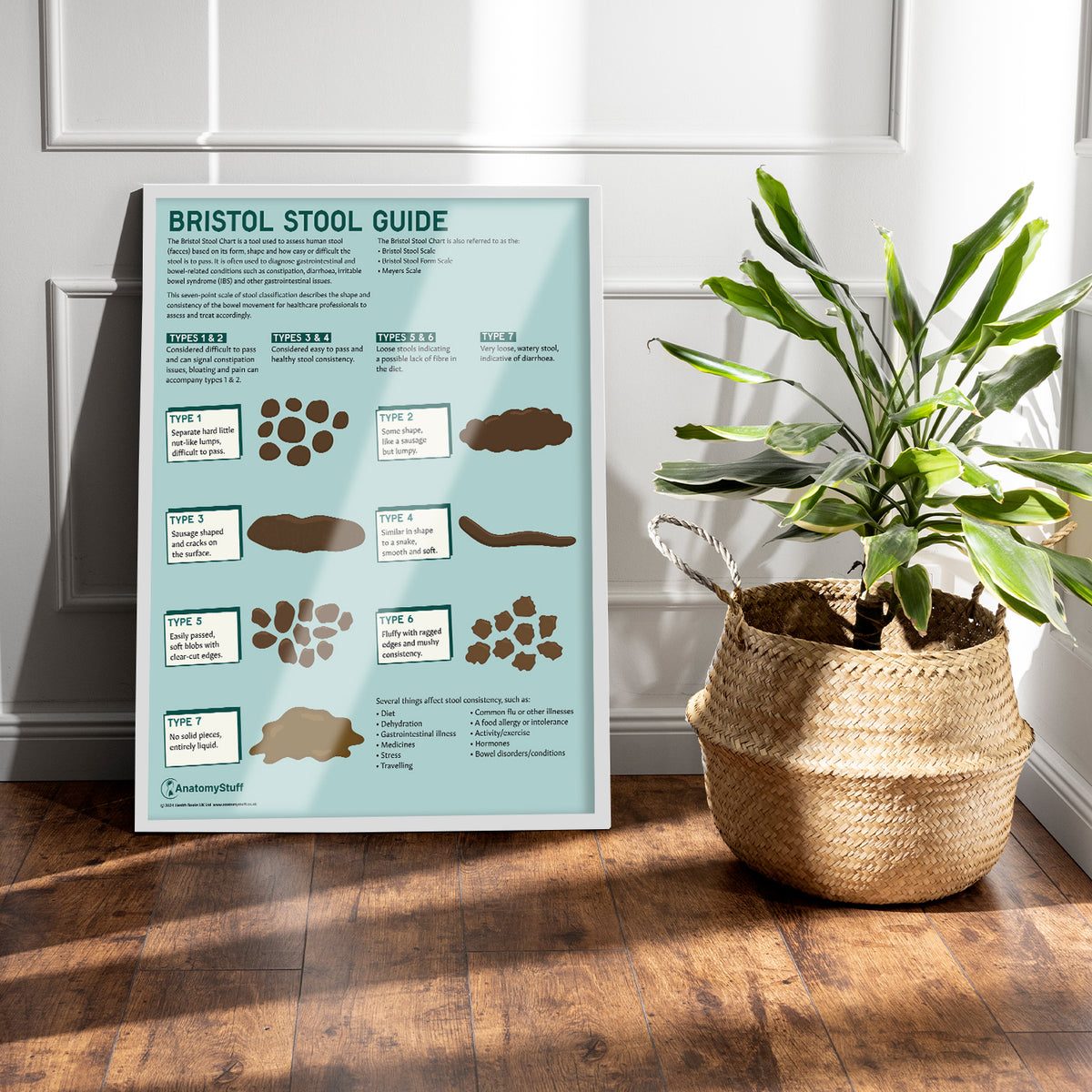 Bristol Stool Chart Poster | Illustrated Bowel Health Chart – AnatomyStuff