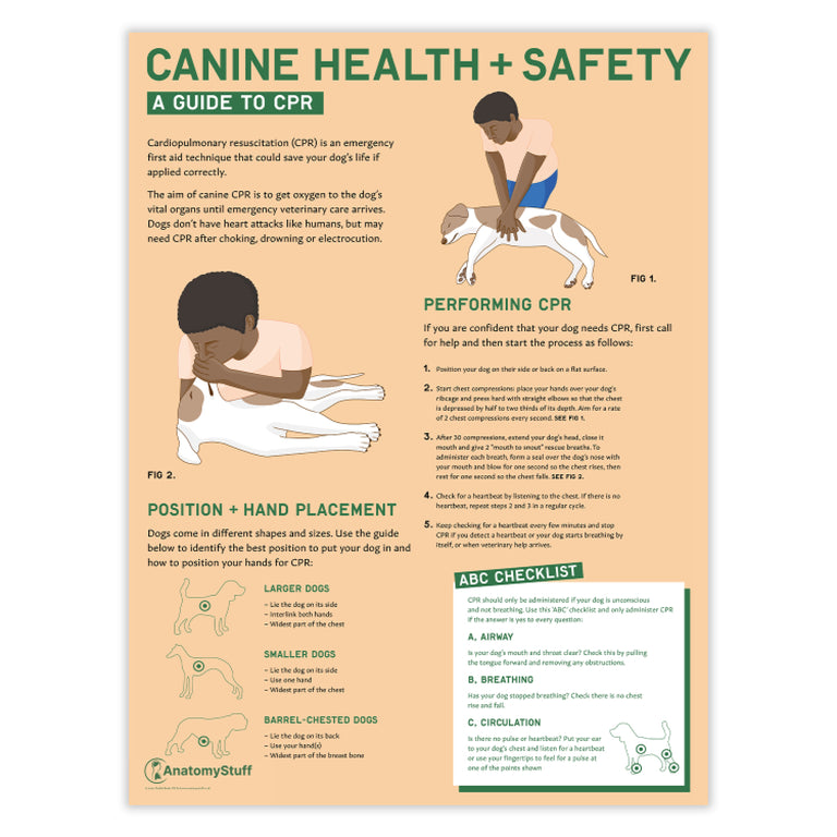 Animal Health & Safety Posters – AnatomyStuff