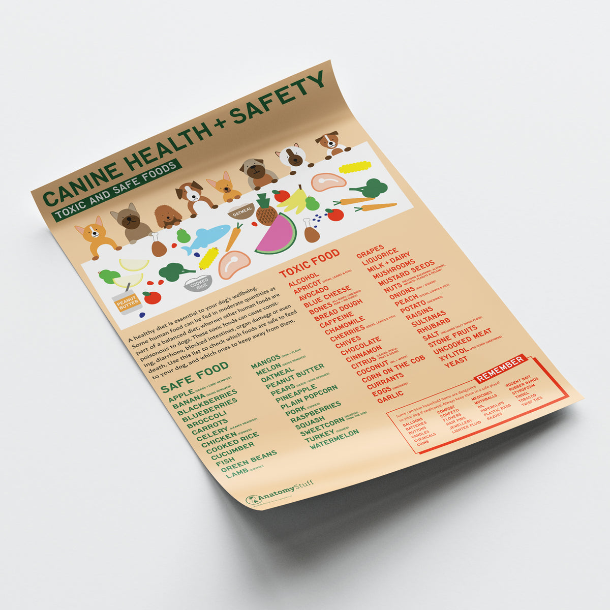 Canine Health & Safety Poster | Toxic and Safe Foods for Dogs Chart ...
