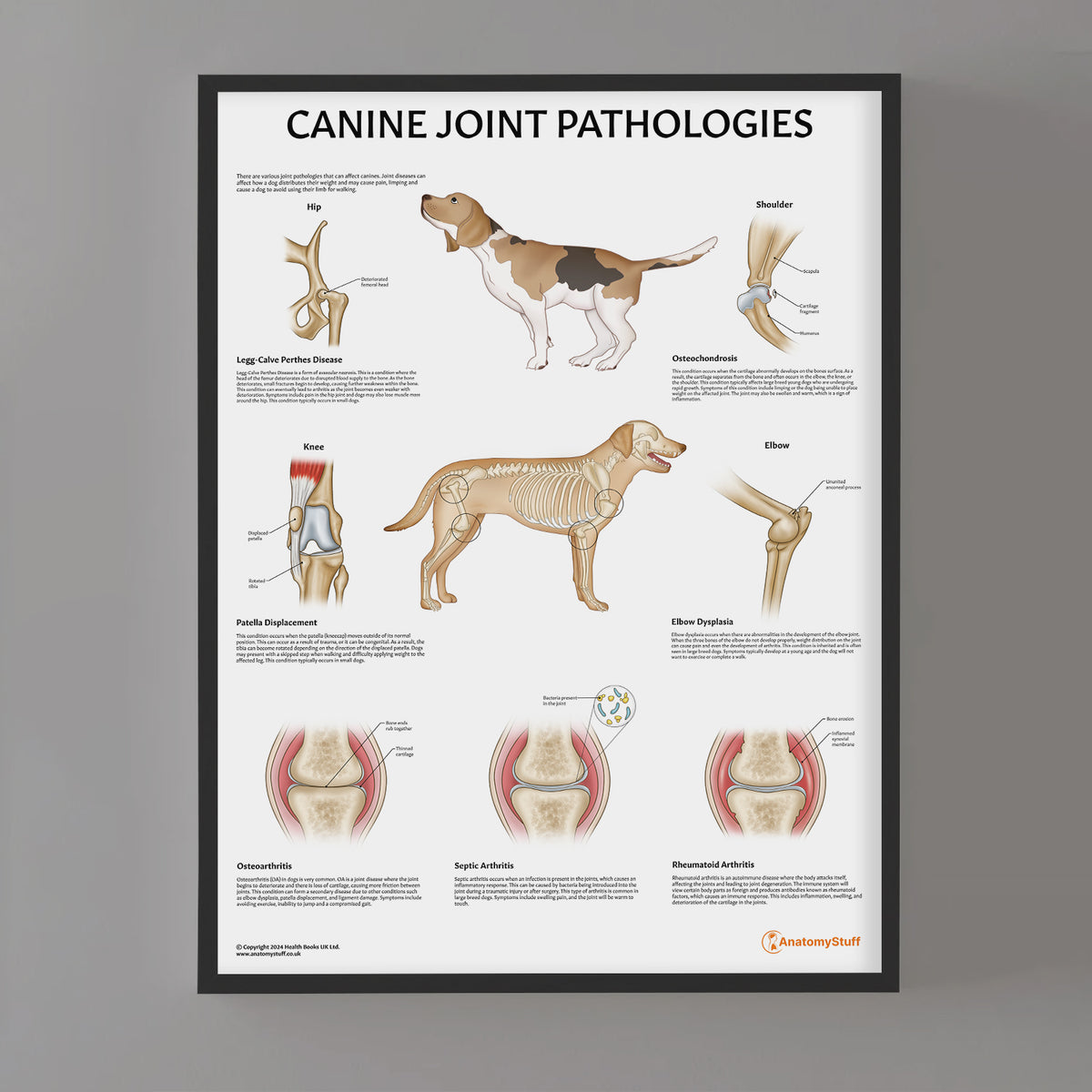 Canine Joint Pathologies Poster | Dog Hip, Knee & Elbow Disorders Chart ...