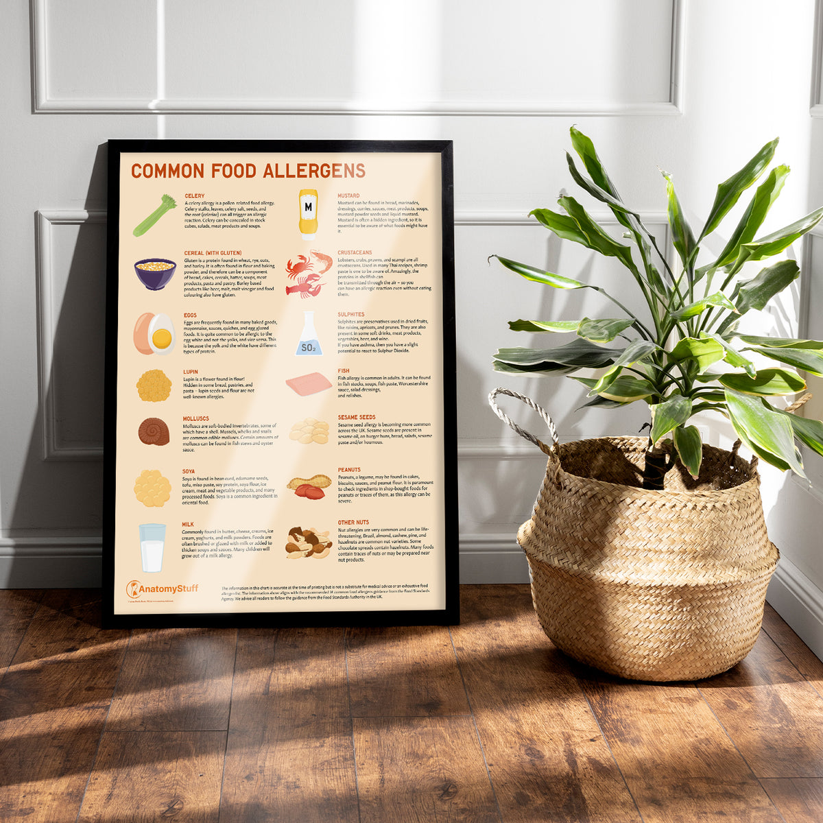 Common Food Allergens Poster | Allergy Awareness Chart | AnatomyStuff