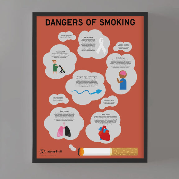 Dangers of Smoking Poster | Tobacco & Cigarette Health Chart – AnatomyStuff