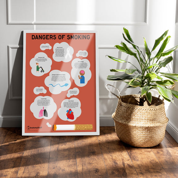 Dangers of Smoking Poster | Tobacco & Cigarette Health Chart – AnatomyStuff
