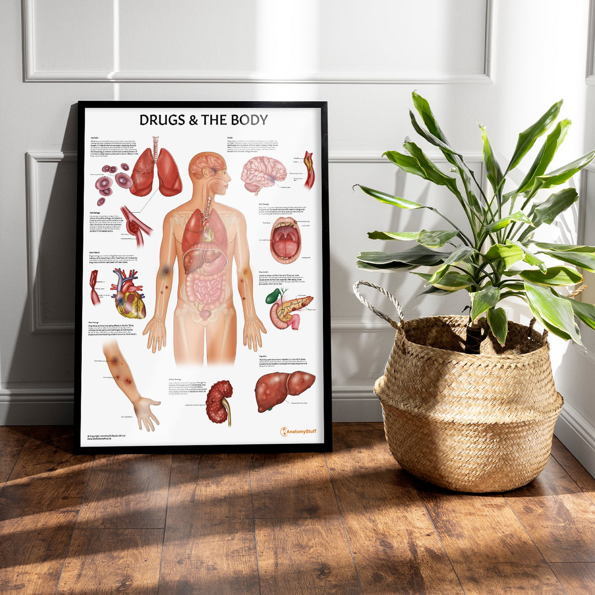 Effects of Drugs on the Human Body Poster | Drug Awareness Chart ...
