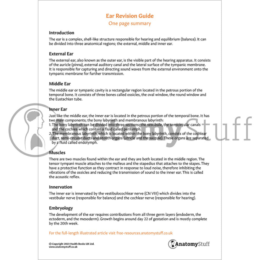 Ear Revision Guide One Page Summary | Printable Anatomy Resource ...