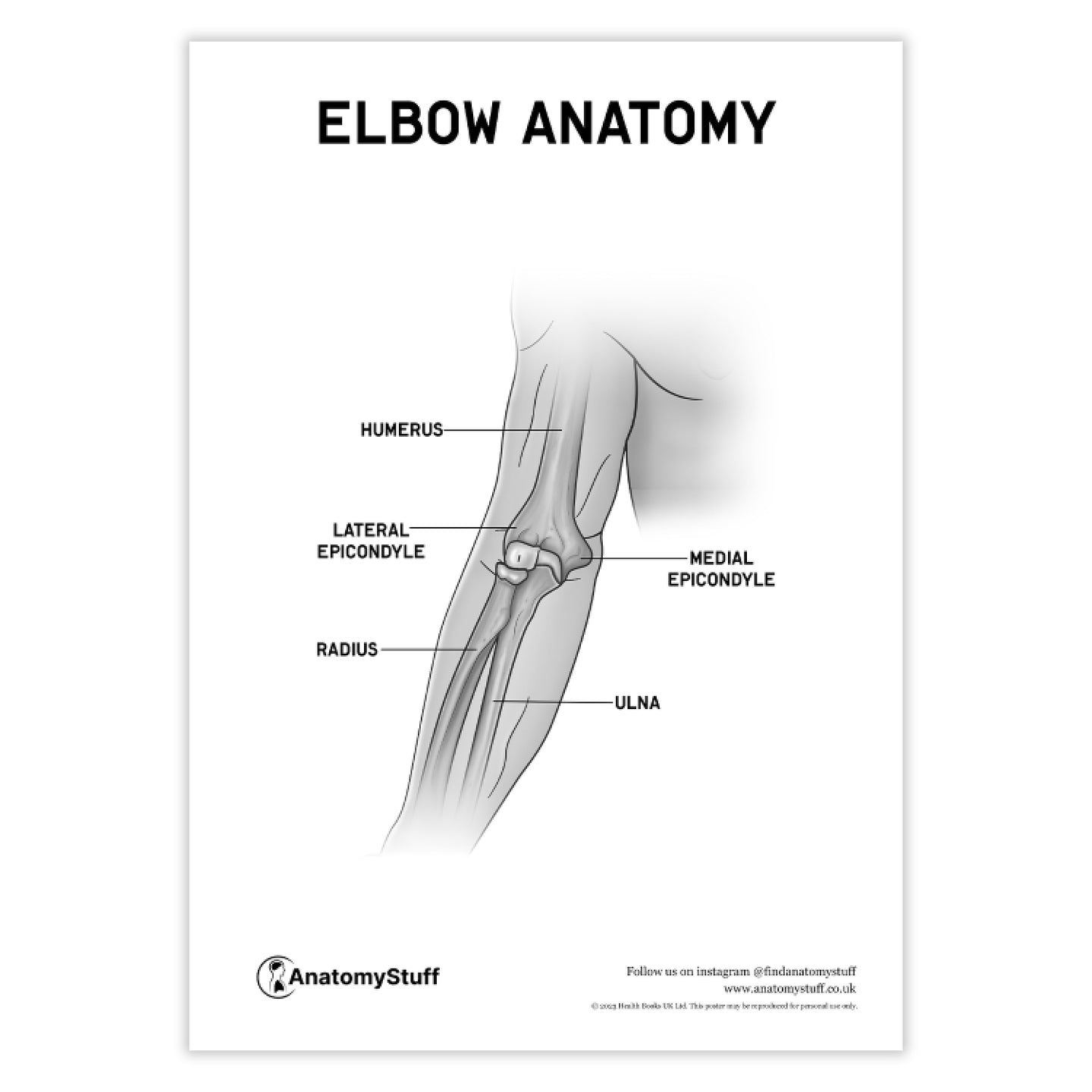 Elbow Anatomy Poster PDF | Digital Download | AnatomyStuff