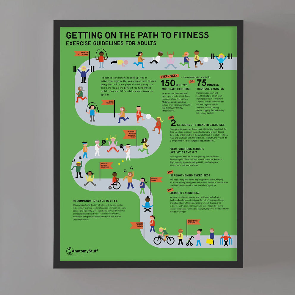 Sports & Exercise Posters – AnatomyStuff
