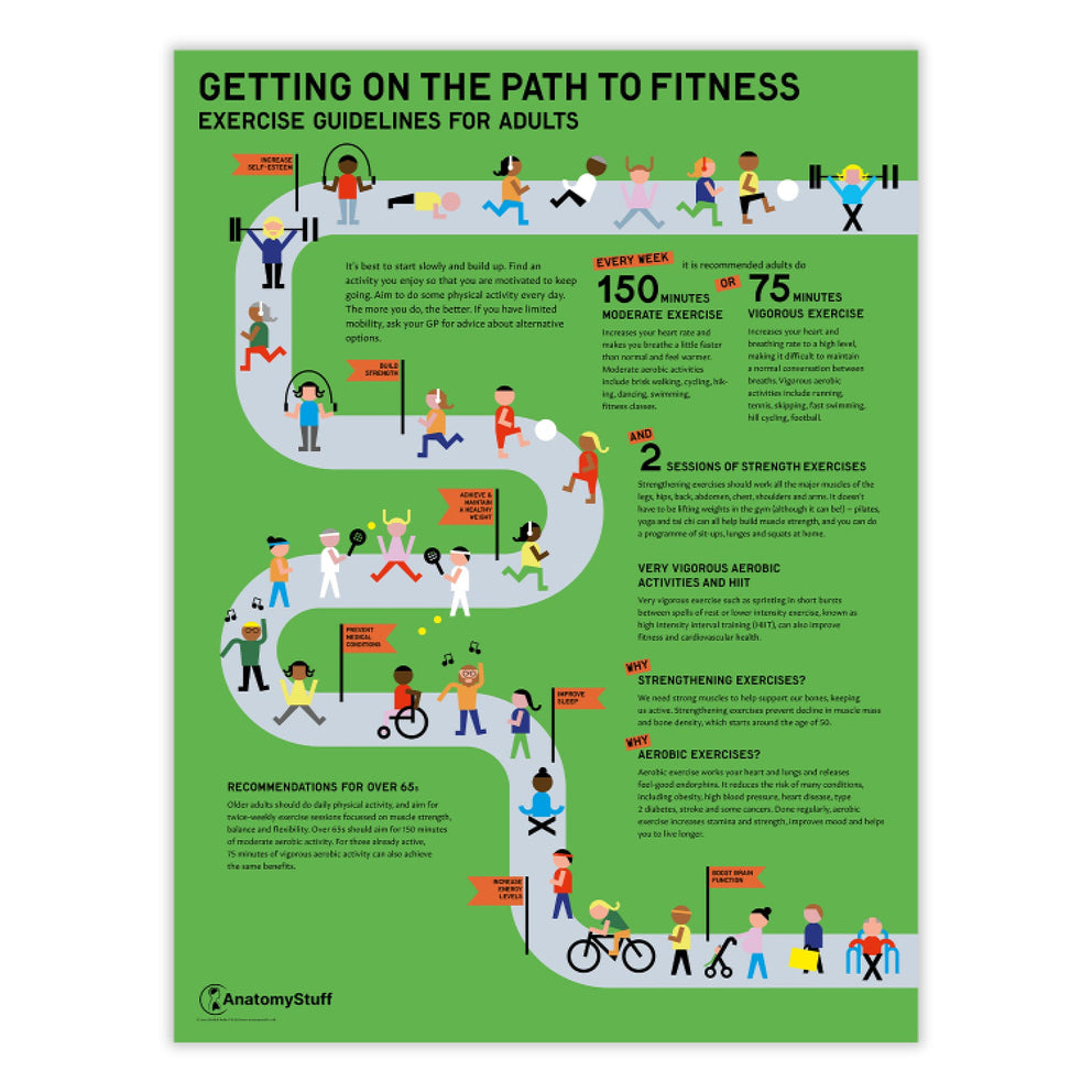 Sports & Exercise Posters – AnatomyStuff