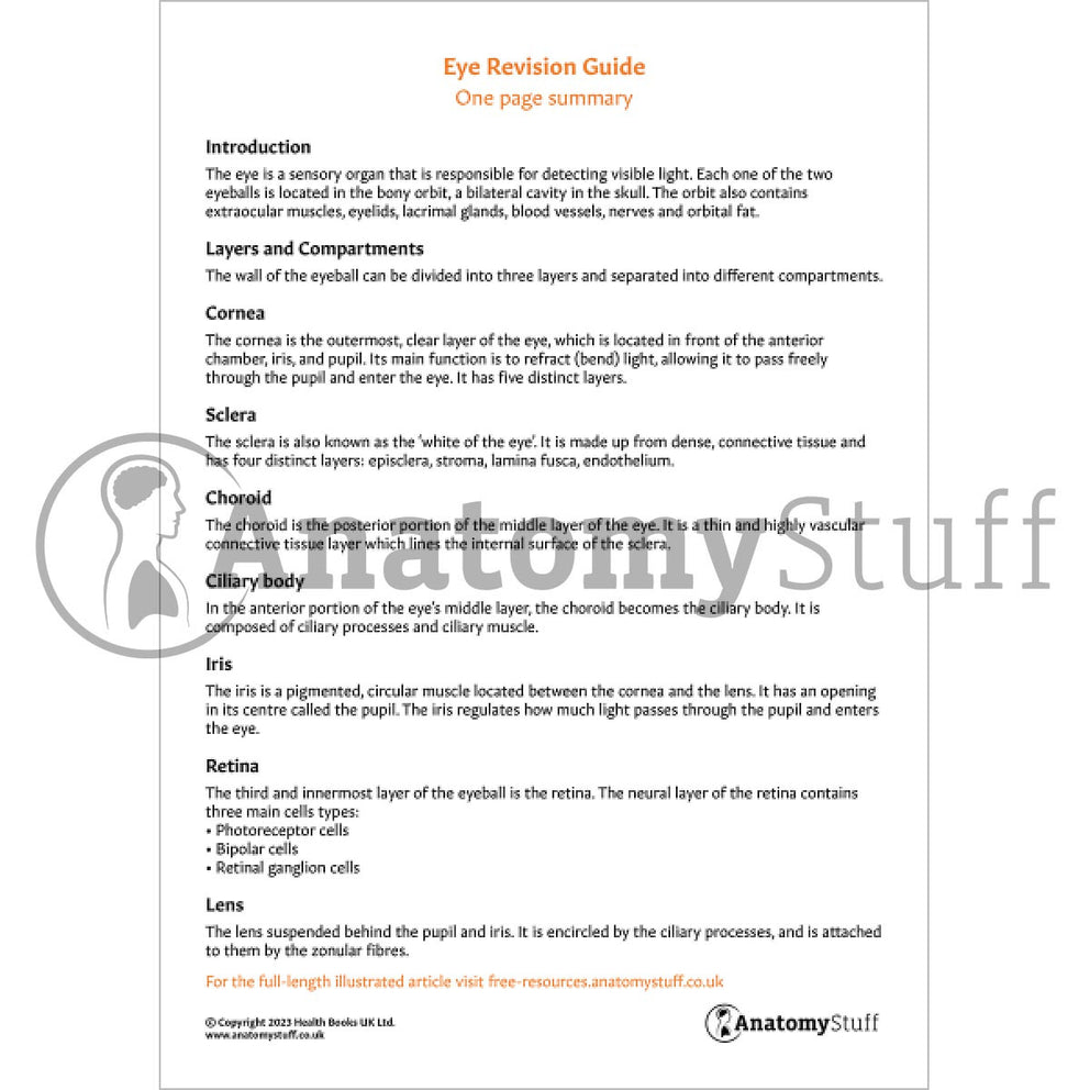Eye Revision Guide One Page Summary | Anatomy Poster PDF | AnatomyStuff