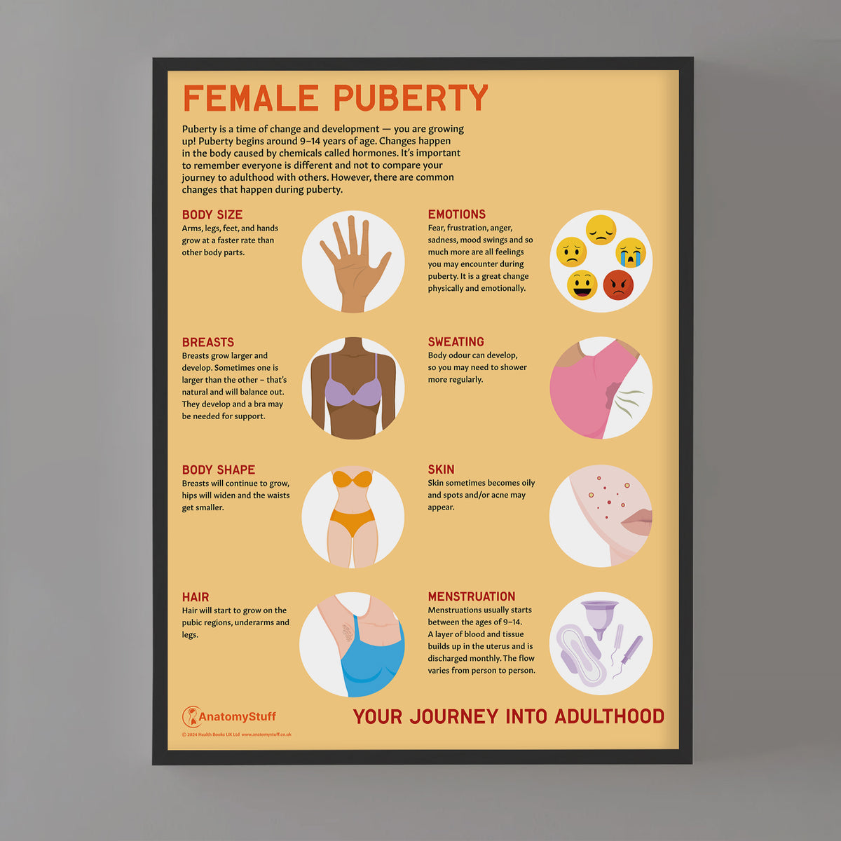 Female Puberty Poster | School Education Chart – AnatomyStuff
