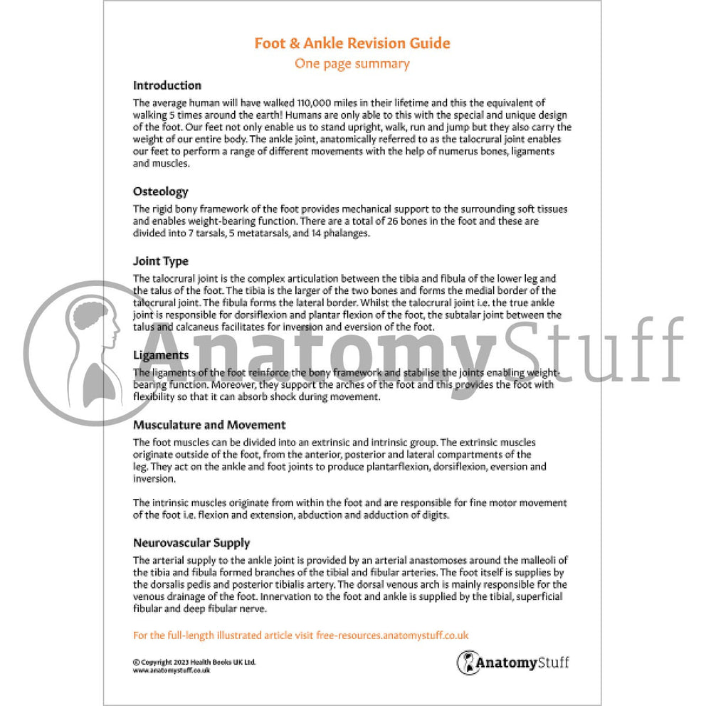 Revision Guide - One Page Summaries – AnatomyStuff