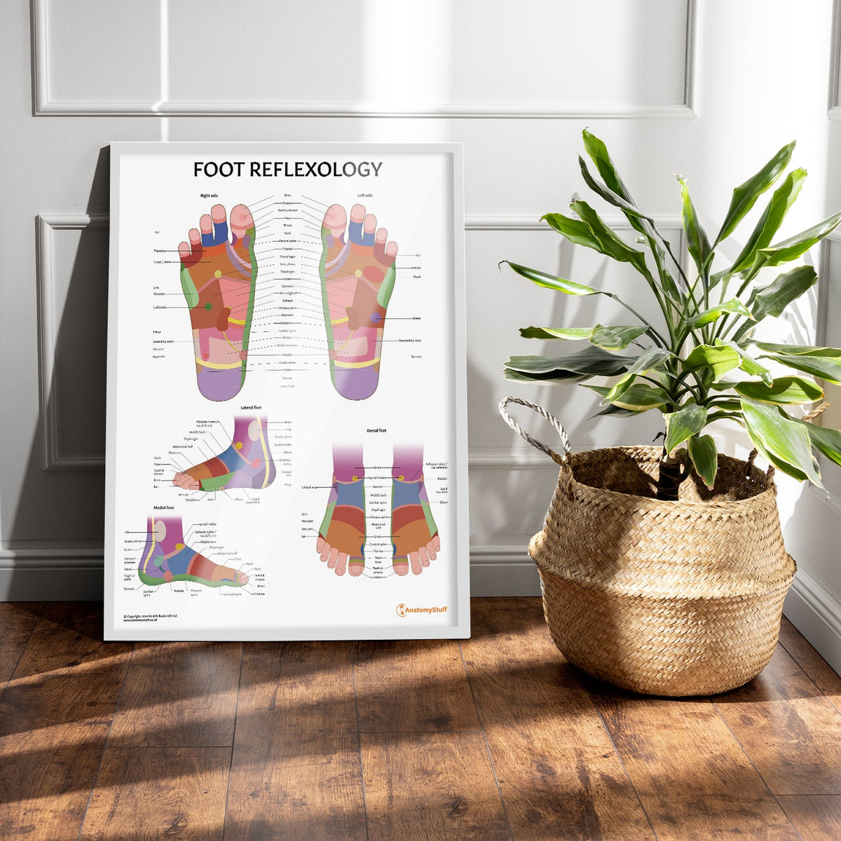 Foot Reflexology Poster | Pressure Points Foot Chart – AnatomyStuff