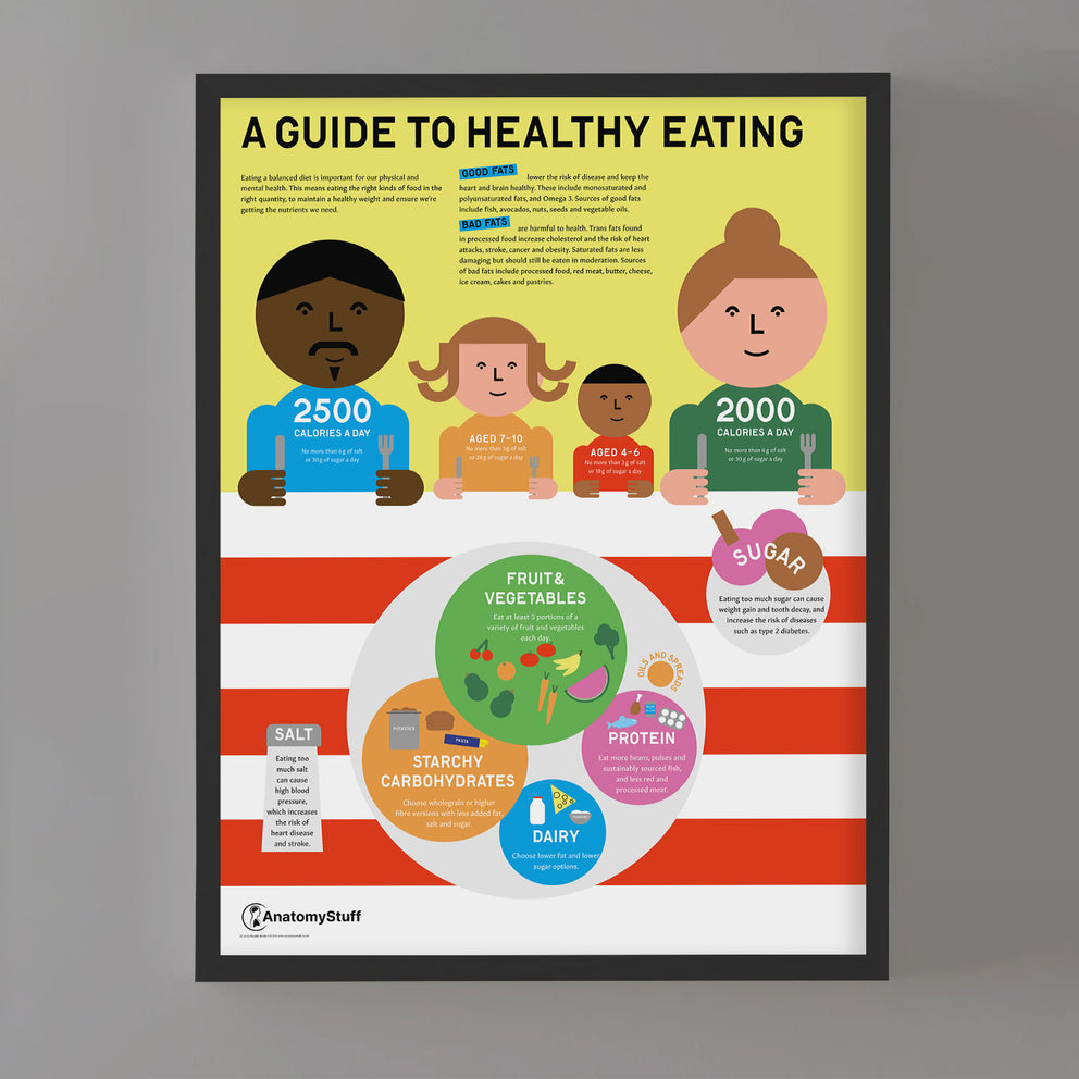 Healthy Eating Poster | Eatwell Plate Guide Chart – AnatomyStuff
