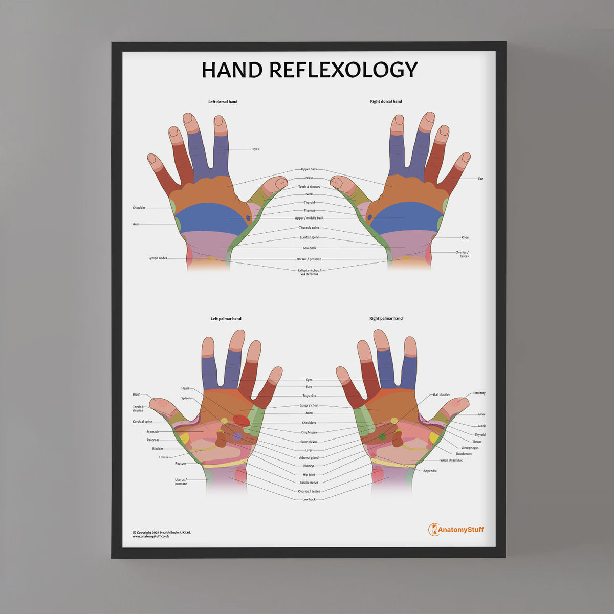 Hand Reflexology Poster | Zone Therapy Massage Chart – AnatomyStuff