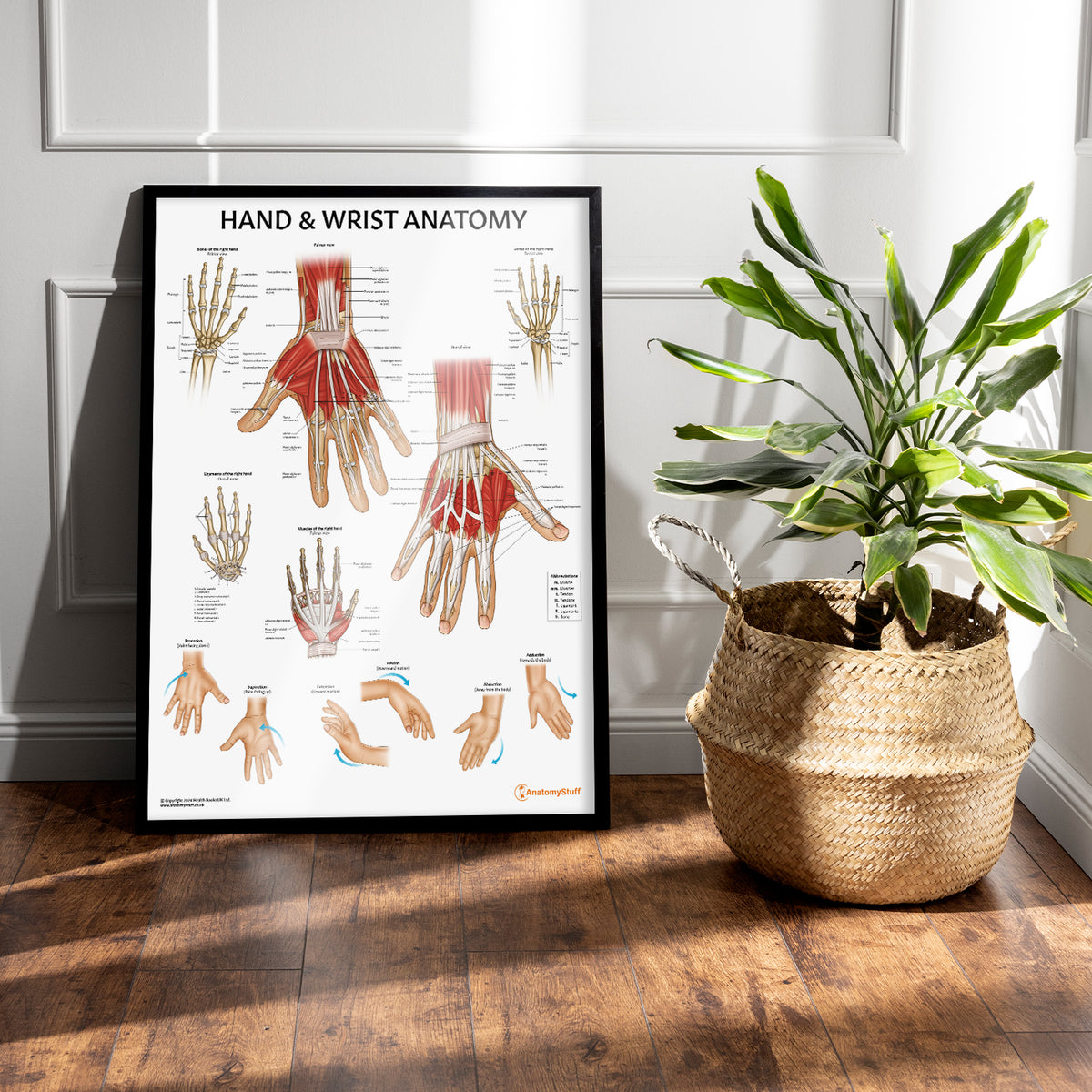 Hand & Wrist Joint Anatomy Chart | Detailed Medical Poster – AnatomyStuff