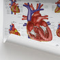 Heart Anatomy Posters – AnatomyStuff