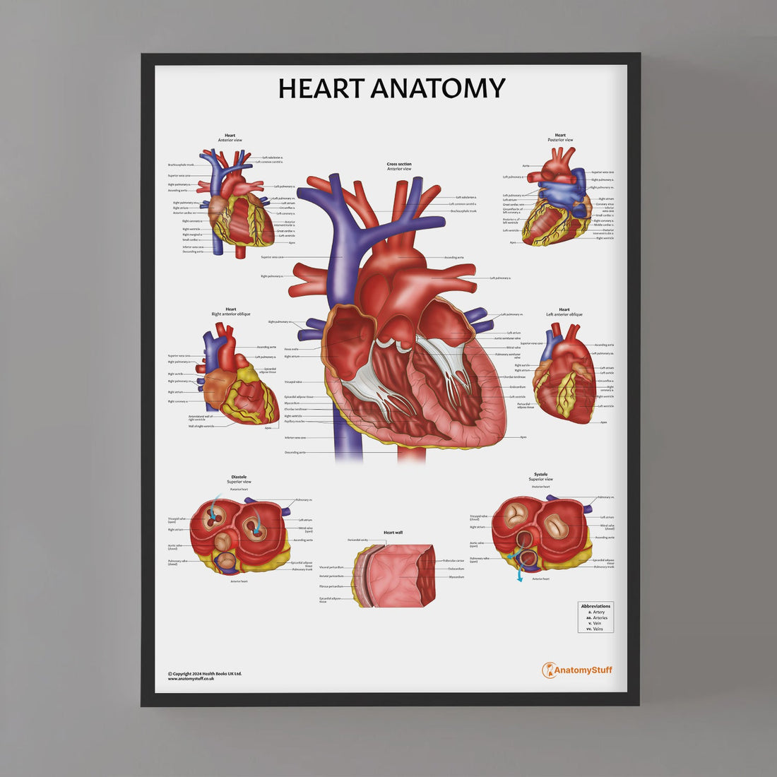 Heart Anatomy Posters – AnatomyStuff