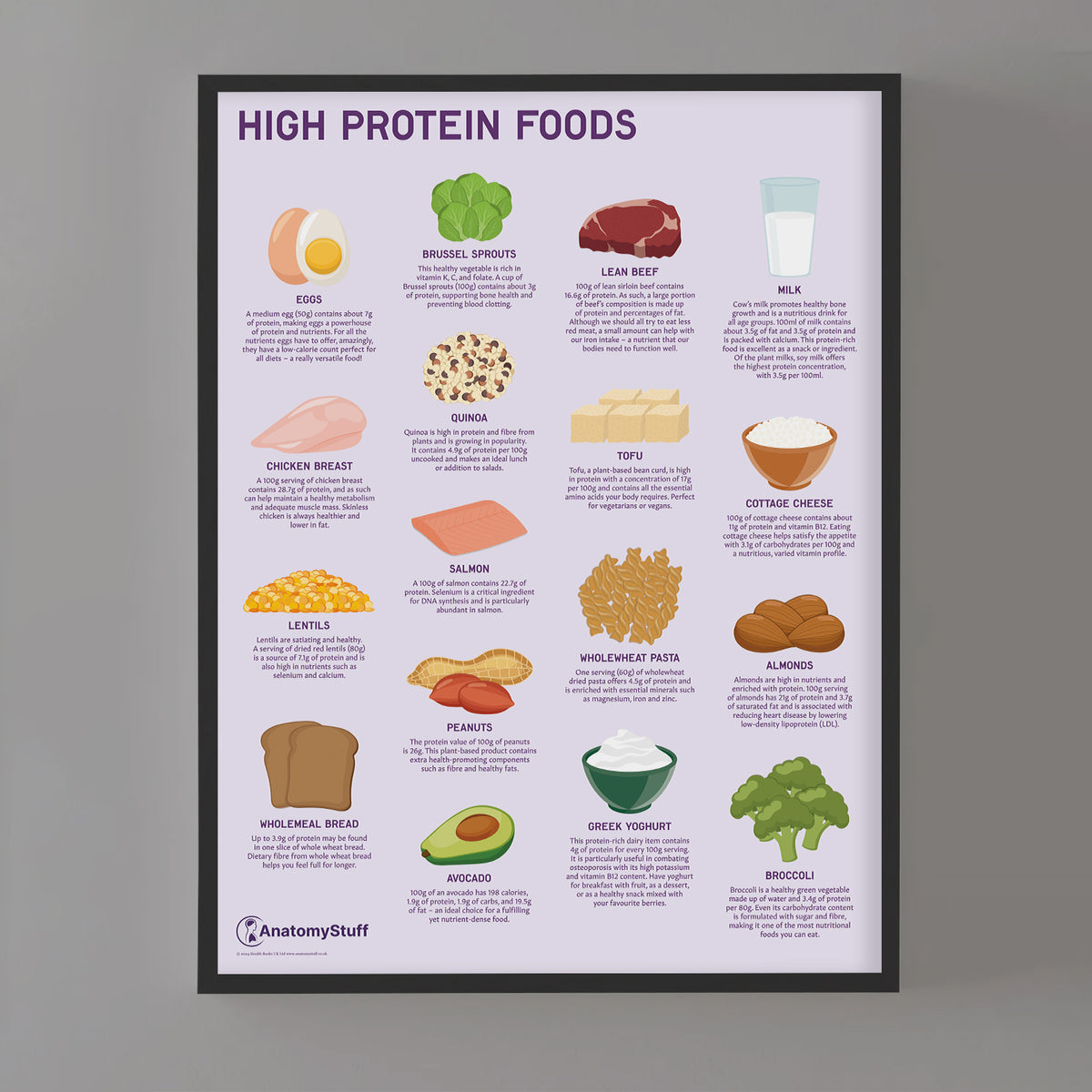 Protein-Rich Foods Poster | Illustrated High Protein Chart – AnatomyStuff