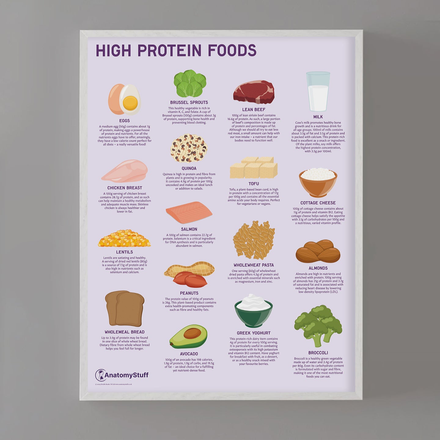 Protein-Rich Foods Poster | Illustrated High Protein Chart – AnatomyStuff