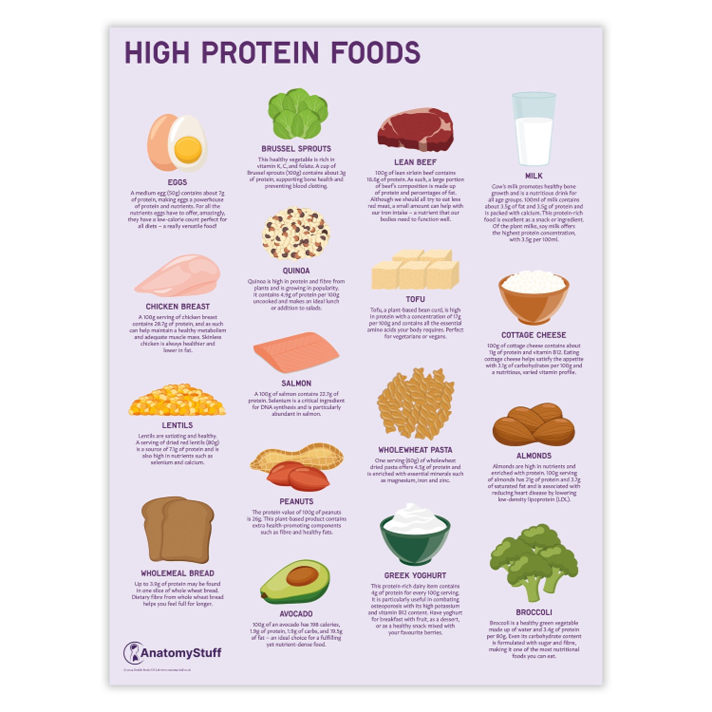 Protein-Rich Foods Poster | Illustrated High Protein Chart – AnatomyStuff