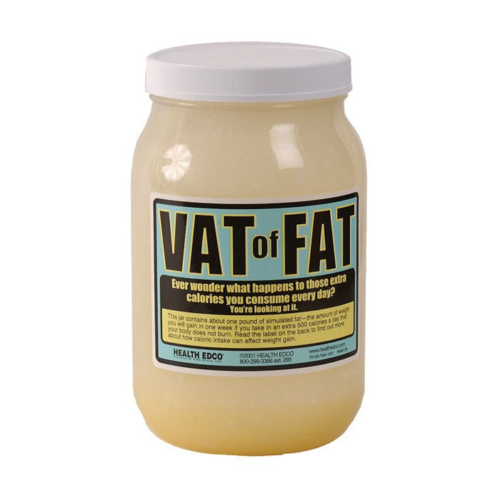 Vat of Fat Display 79129 | Simulated Fat Model | Health Edco – AnatomyStuff