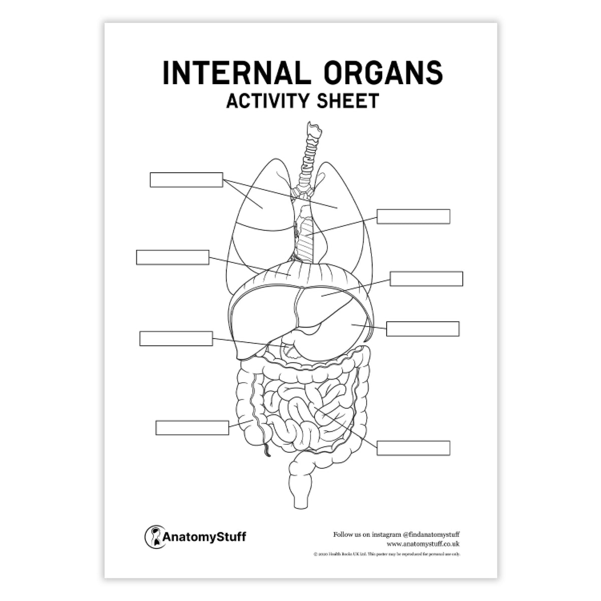 Internal Organs Activity Sheet PDF | Anatomy Colouring & Labelling ...