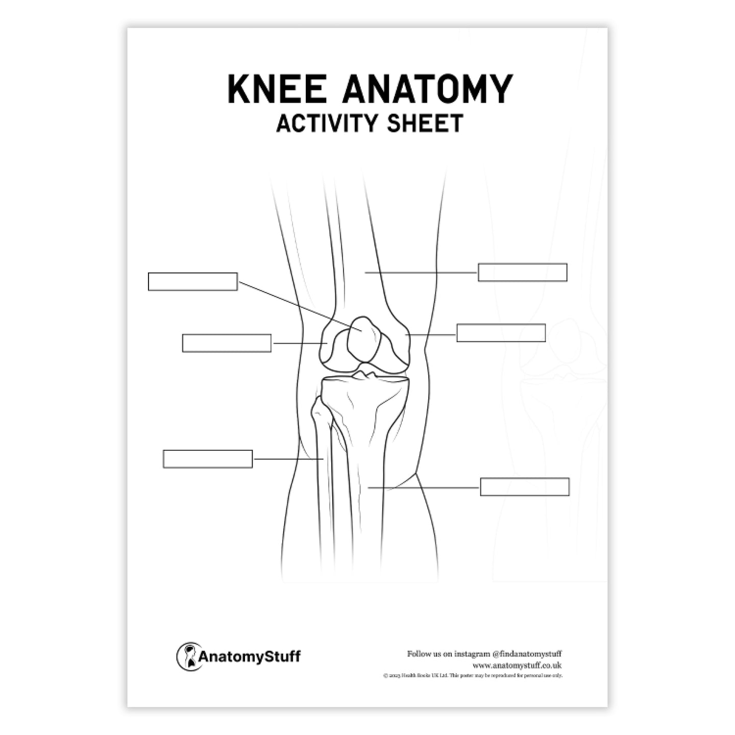 Knee Anatomy Activity Sheet | Digital Download | AnatomyStuff